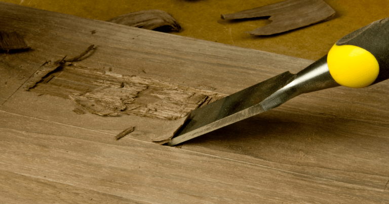 What Are the Different Types of Wood Lathe Chisels? 2023 | World of ...